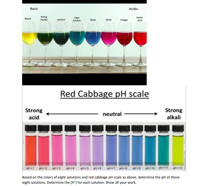 Solved Red cabbage contains a water-soluble pigment called | Chegg.com