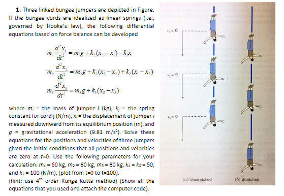 Solved 1. Three linked bungee jumpers are depicted in | Chegg.com