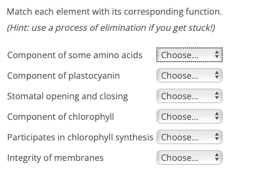 Solved Match each element with its corresponding function. | Chegg.com