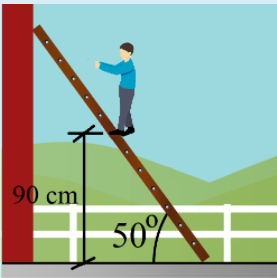 Solved There is a uniform ladder of mass 100 kg and 4.00 m | Chegg.com