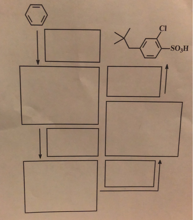 Solved Cl SO3H | Chegg.com