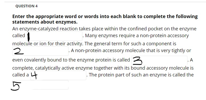 Solved Hi Please fill in the blanks with the correct word, I | Chegg.com