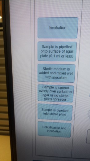 Solved Spread-plate method Surface colonies Typical | Chegg.com