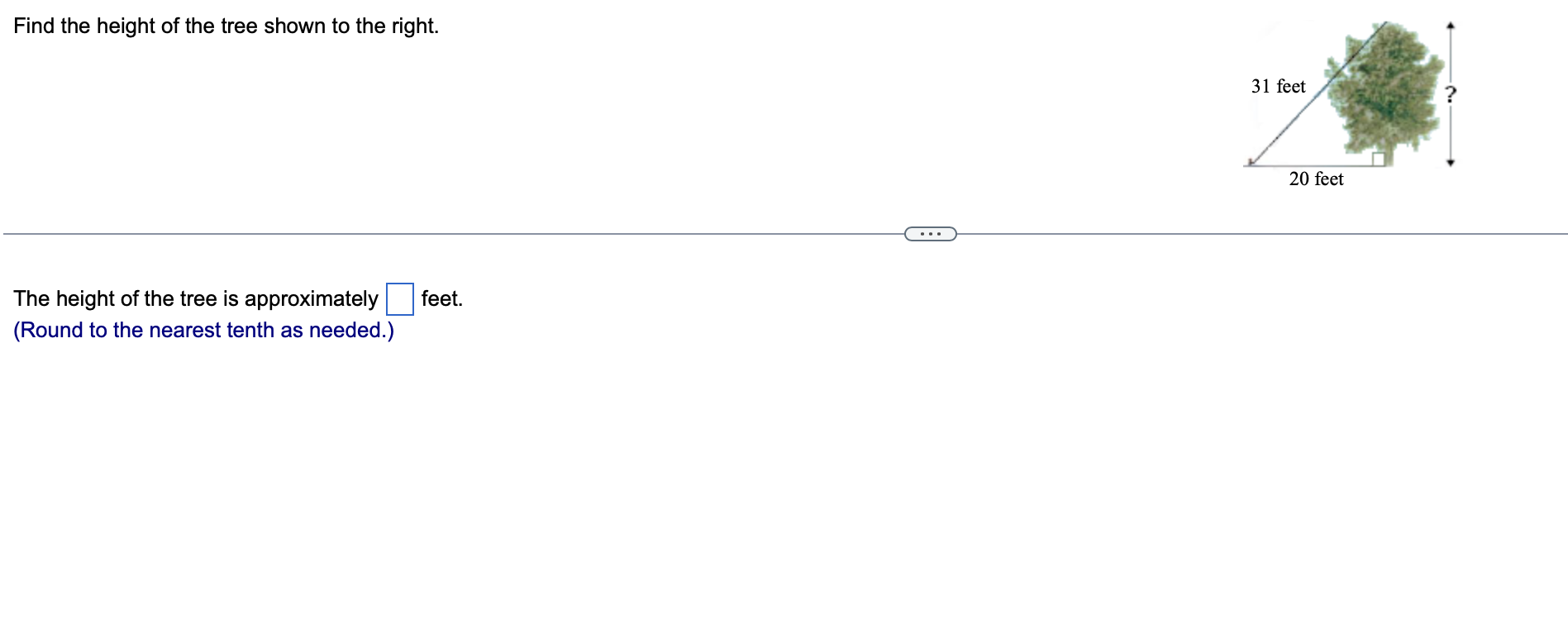Solved Find the height of the tree shown to the right. The | Chegg.com