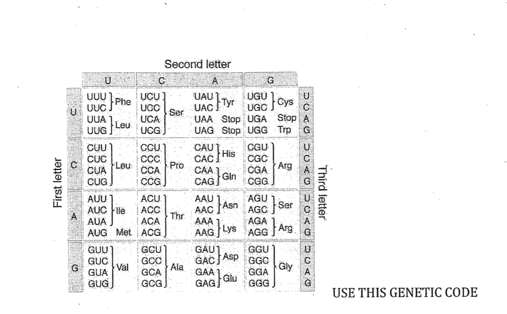 Solved PRACTICE! Write out the complementary DNA sequence | Chegg.com