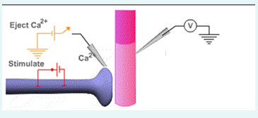 Solved 13. this figure shows the setup of Katz's experiment | Chegg.com