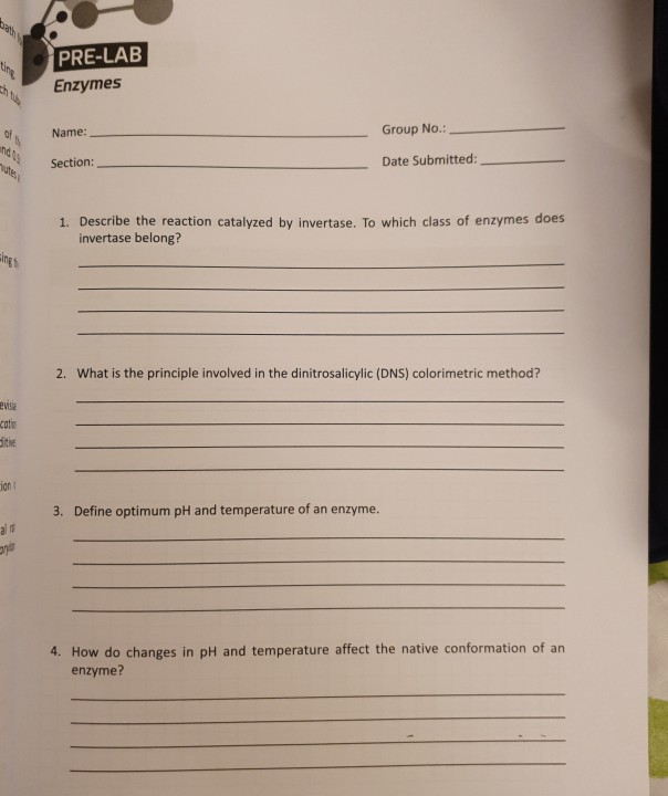 Solved PRE-LAB Enzymes Name: Group No.: Section: Date | Chegg.com