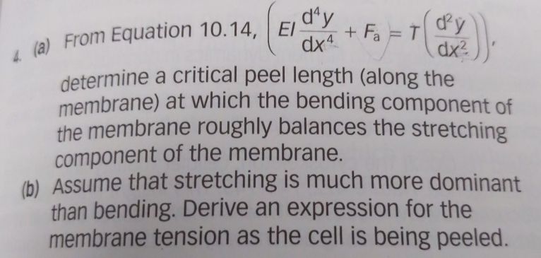 From the book : Introduction to Cell Mechanics and | Chegg.com