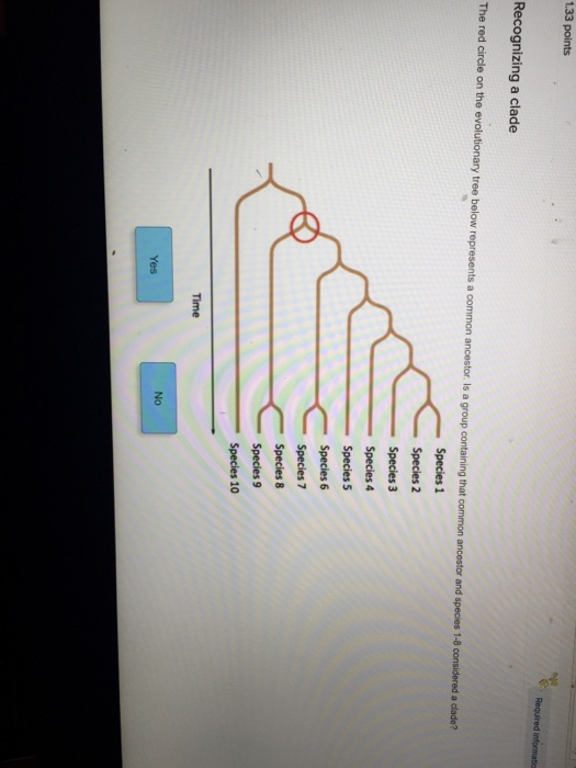 Solved The red circle on the evolutionary tree below | Chegg.com