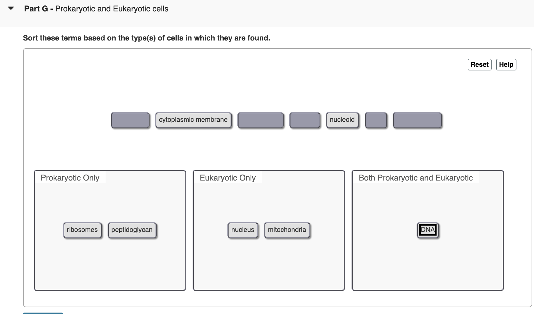 Solved Part G - ﻿Prokaryotic and Eukaryotic cellsSort these | Chegg.com