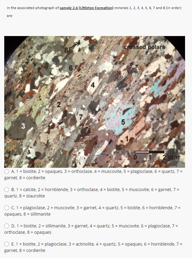 Solved In the associated photograph of sample 2.6 (Littleton | Chegg.com