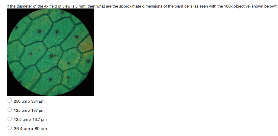 Solved If the diameter of the 4x field of view is 5 mm, then | Chegg.com