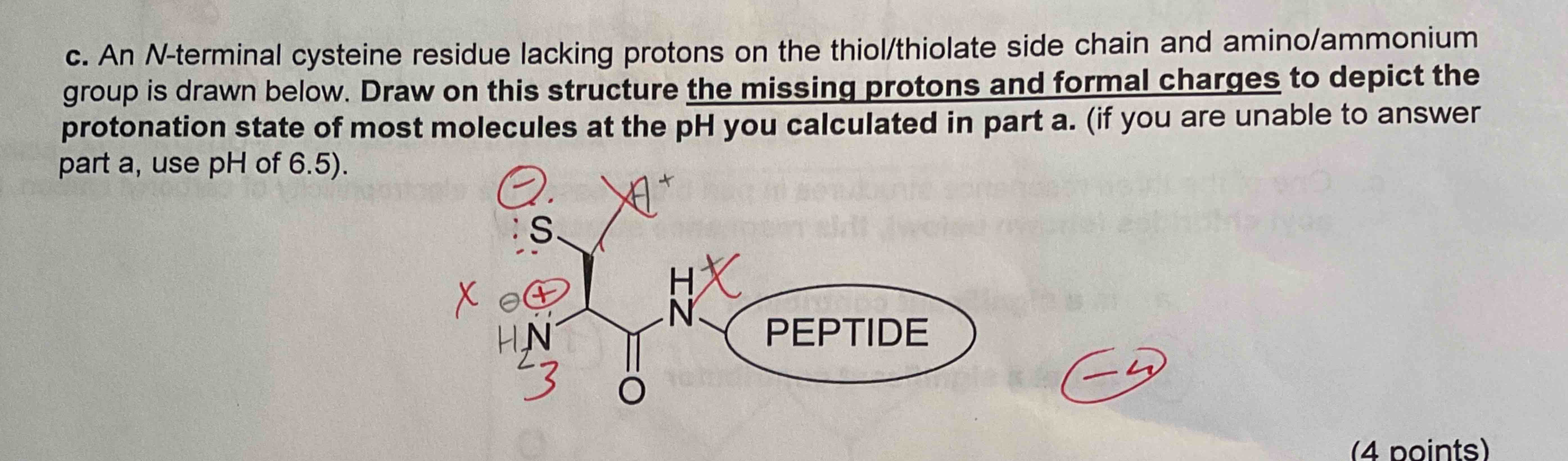 Solved C an N Terminal Cysteine Residue Lacking Protons On