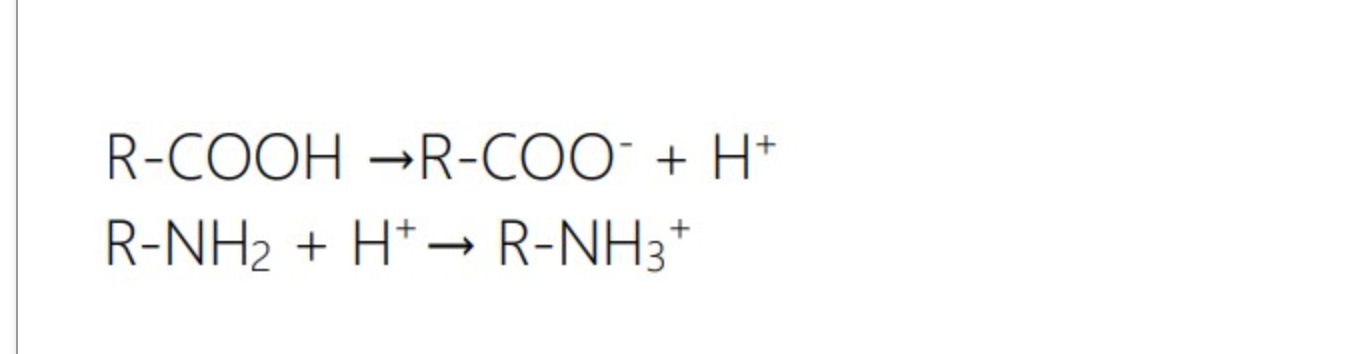 Solved In the following ionization reactions of functional | Chegg.com