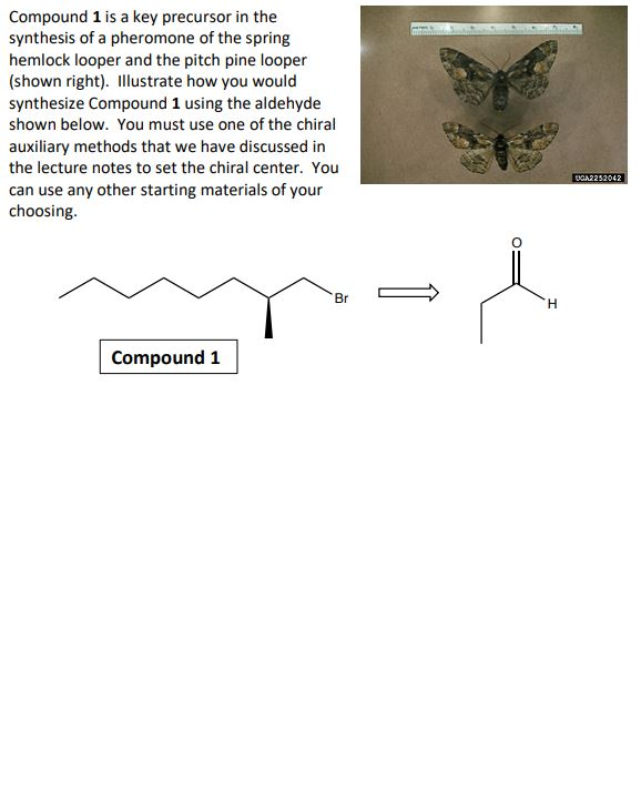 Solved TA Compound 1 is a key precursor in the synthesis of | Chegg.com