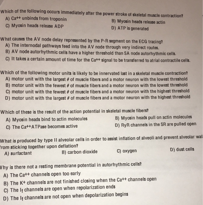 Solved Which of the following occurs immediately after the | Chegg.com