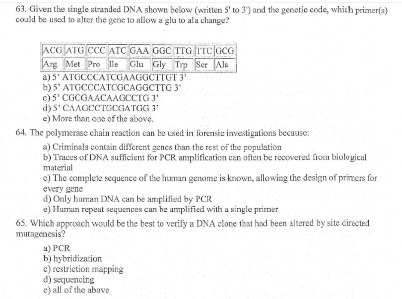 Solved 63. Given the single stranded DNA shown below | Chegg.com