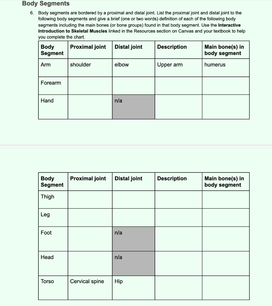 Solved Body Segments 6. Body segments are bordered by a | Chegg.com