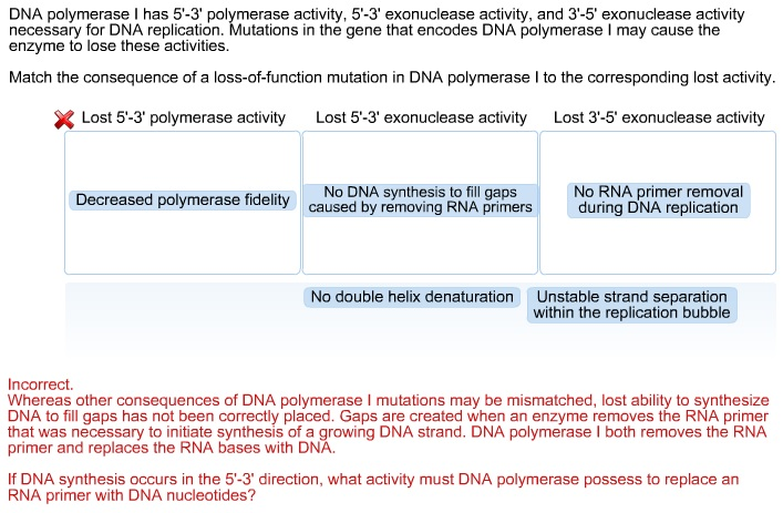 Solved DNA polymerase I has 5-3' polymerase activity, 5'-3' | Chegg.com
