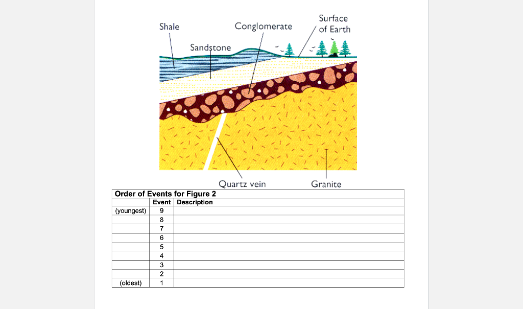 Solved Study each figure to determine the relative order of | Chegg.com