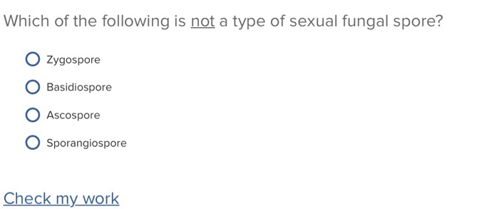Solved Please choose the answer that best completes the | Chegg.com