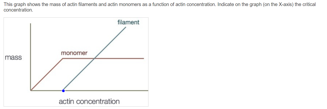 This graph shows the mass of actin filaments and | Chegg.com