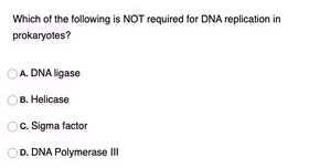 Solved Which of the following is NOT required for DNA | Chegg.com