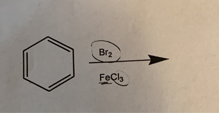 Solved Br2 FeÇl3 | Chegg.com