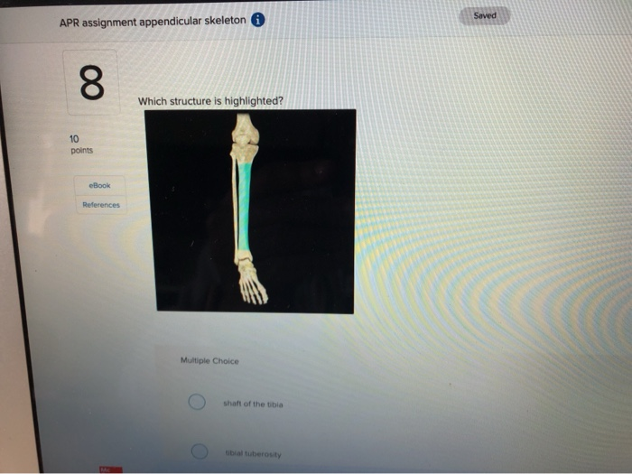 Solved Saved APR assignment appendicular skeleton 8 Which | Chegg.com
