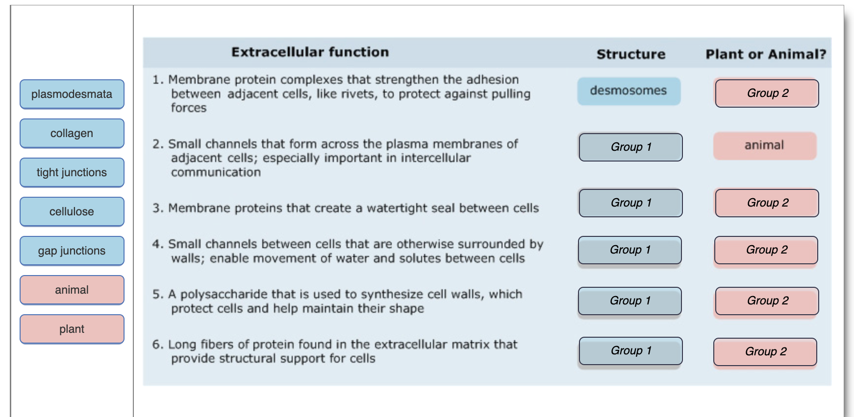 Solved Structure Plant or Animal? Extracellular function 1. | Chegg.com