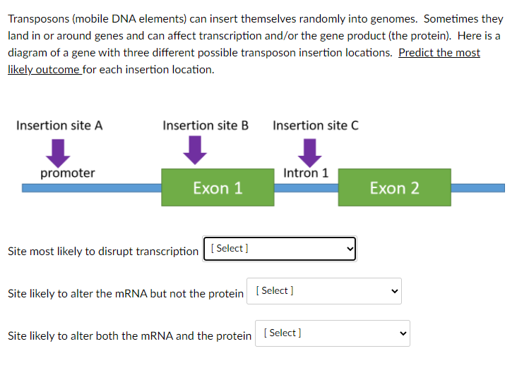 Solved Transposons (mobile DNA elements) can insert | Chegg.com
