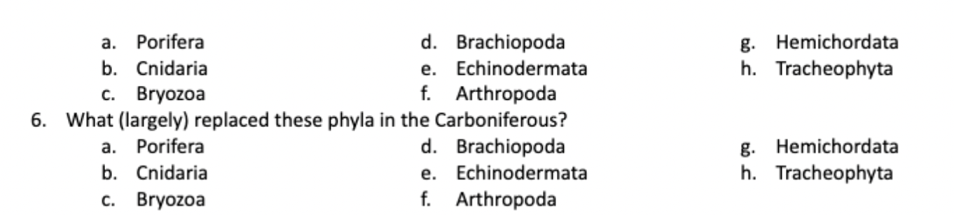 Solved Bryozoa 2. Read Jack Sepkoski's (2002) biodiversity | Chegg.com