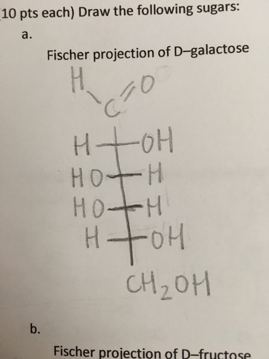 Solved Draw the following sugars: Fischer projection of | Chegg.com