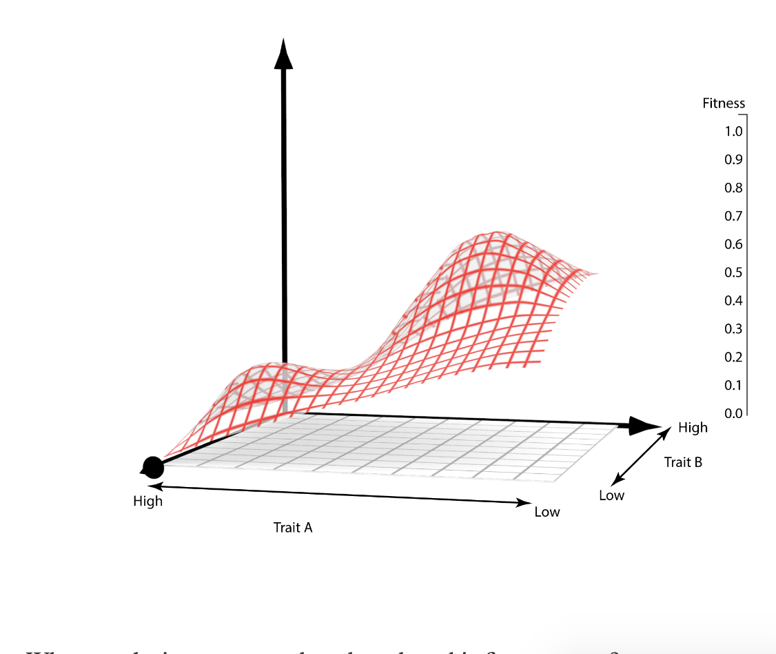 Solved The cubic spine shown in the figure graphs Trait A, | Chegg.com