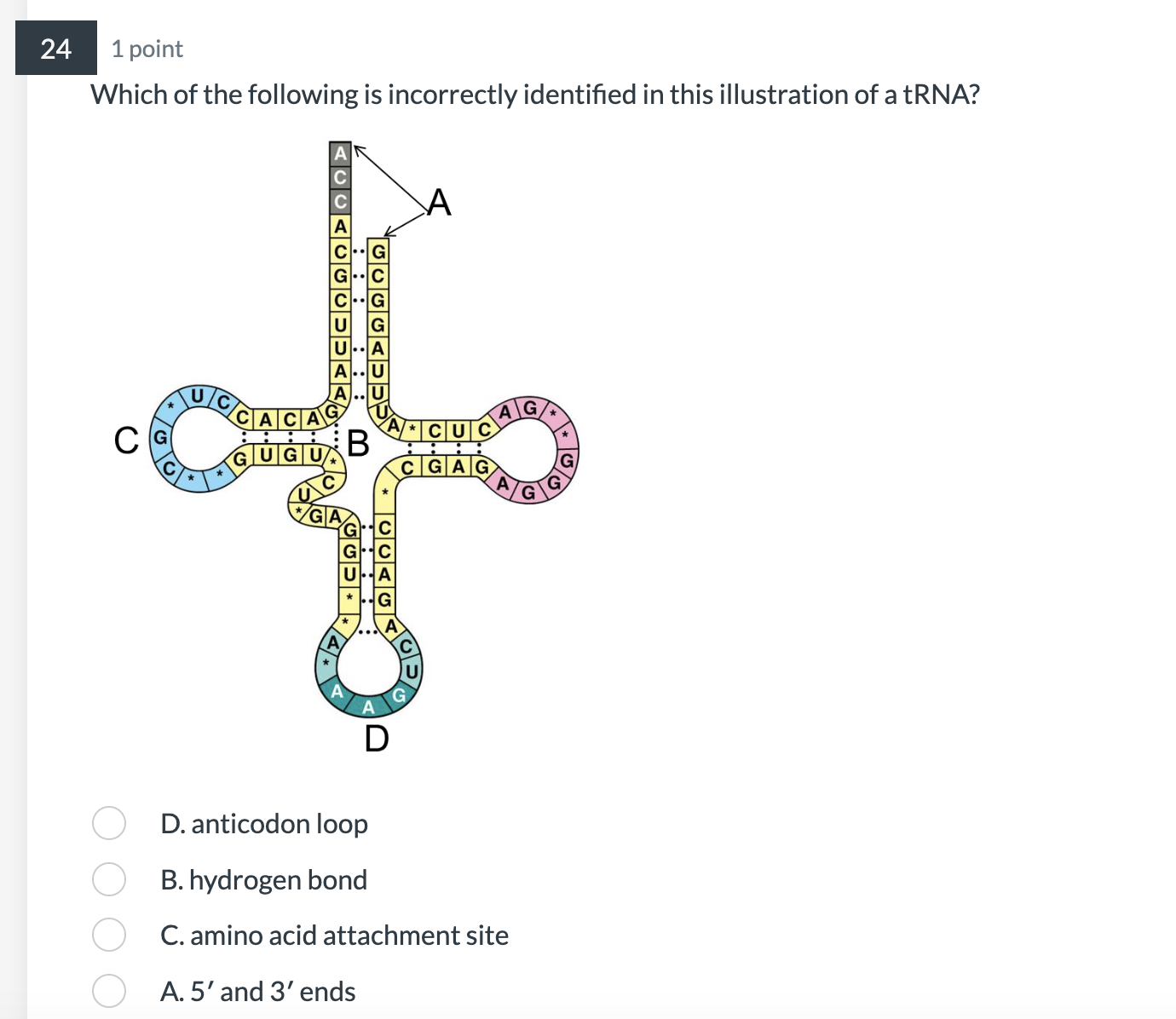 Solved Which of the following is incorrectly identified in | Chegg.com