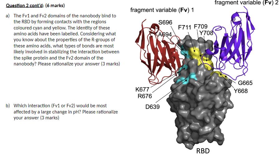 Solved Question 2: Introduction SARS-CoV-2 variants with | Chegg.com