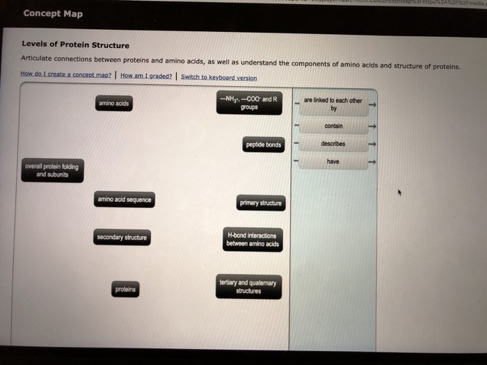 Solved Concept Map Levels of Protein Structure Articulate | Chegg.com