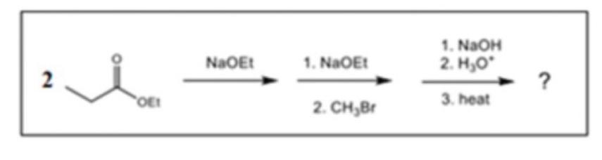 Solved NaOEt 2⋅CH3Br 1. NaOEt | Chegg.com