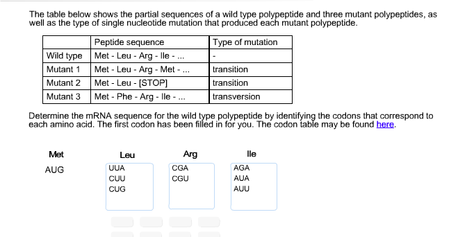 Solved The table below shows the partial sequences of a wild | Chegg.com