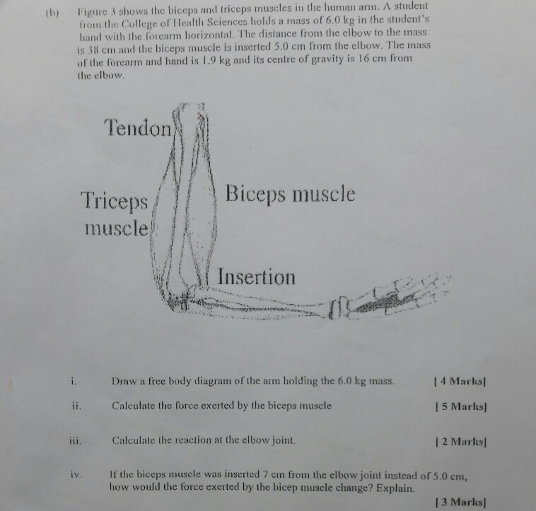 Solved Figure 3 shows the biceps and triceps imuscles i from | Chegg.com