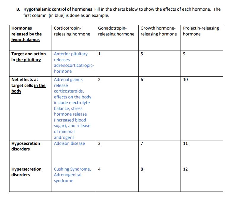 Solved B. ﻿Hypothalamic control of hormones Fill in the | Chegg.com