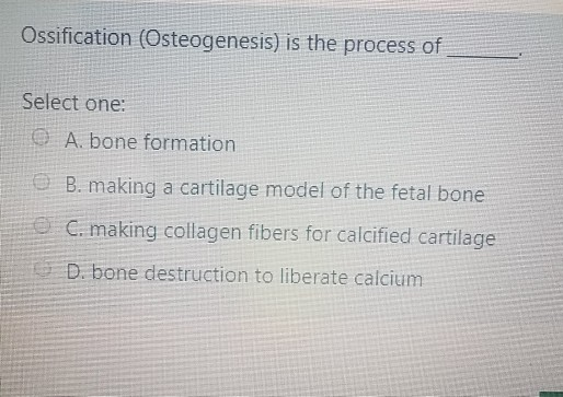 Solved Ossification (Osteogenesis) is the process of Select | Chegg.com