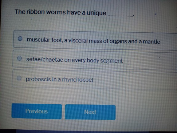 Solved The ribbon worms have a unique muscular foot, a | Chegg.com