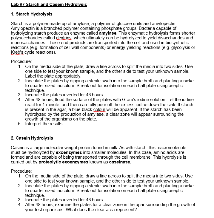 Solved consider that you have performed this experiment | Chegg.com