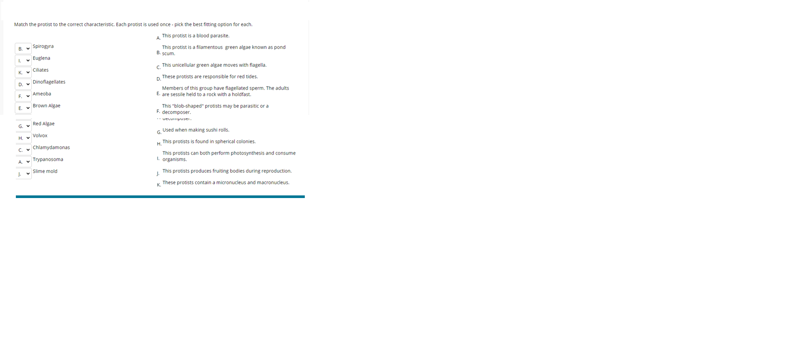 Solved Match the protist to the correct characteristic. Each | Chegg.com