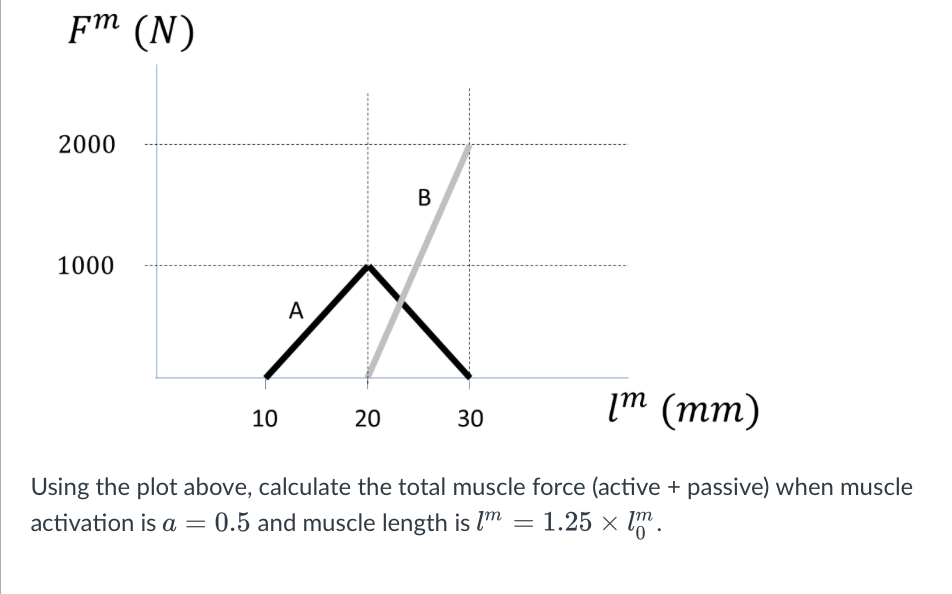 Solved Using the plot above, calculate the total muscle | Chegg.com