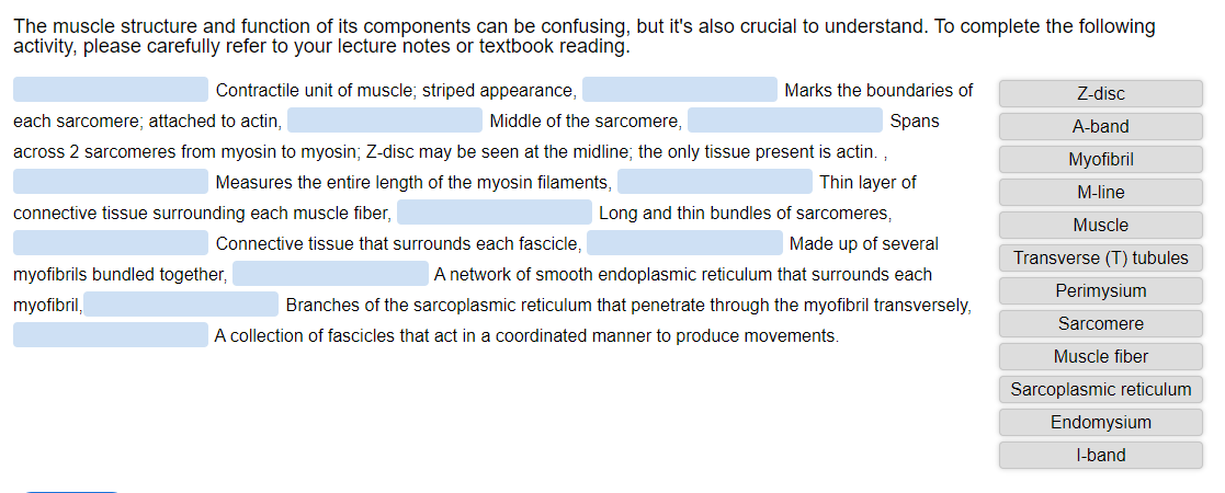 Solved The muscle structure and function of its components | Chegg.com
