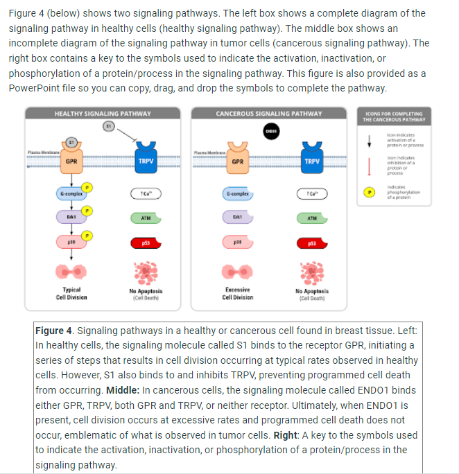 Solved Hi! Please help with completing the cancerous | Chegg.com