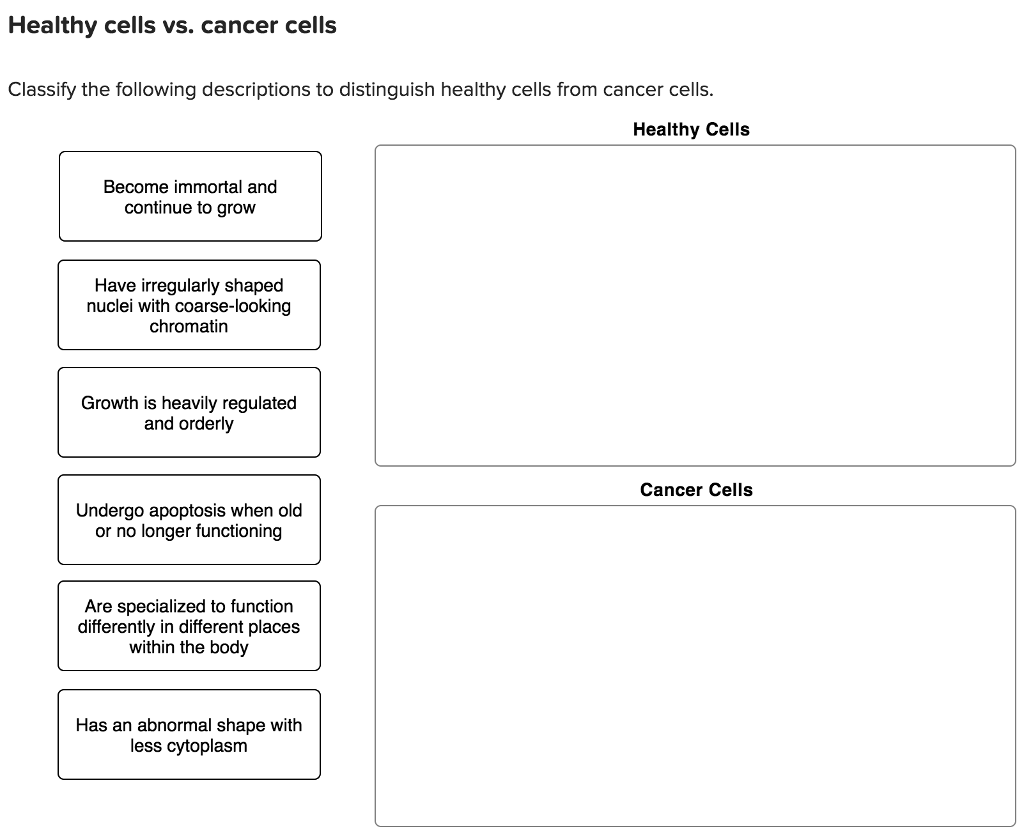 Solved The cell cycle Complete the paragraph to describe how | Chegg.com