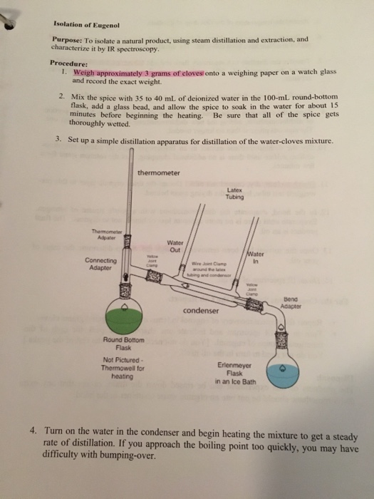 Solved Isolation of Eugenol Purpose: To isolate a natural | Chegg.com